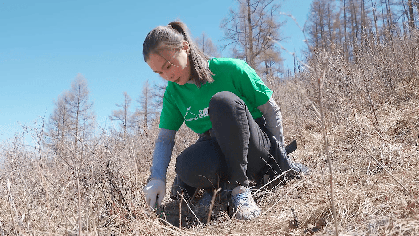 Urban Nomads Plant 4,000 Trees in Mongolia’s Capital