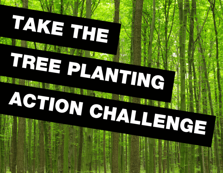 Raleigh's Tree Planting Action Challenge with Woodland Trust