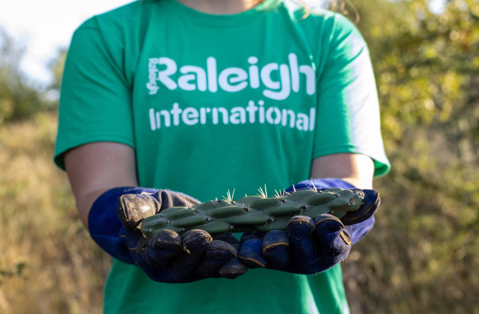 Volunteer in South Africa - Raleigh International